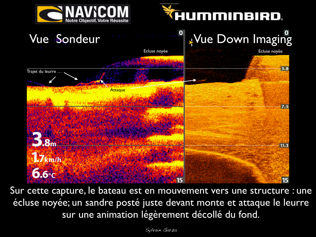Prestations / Guiding | Guide Peche Carnassiers